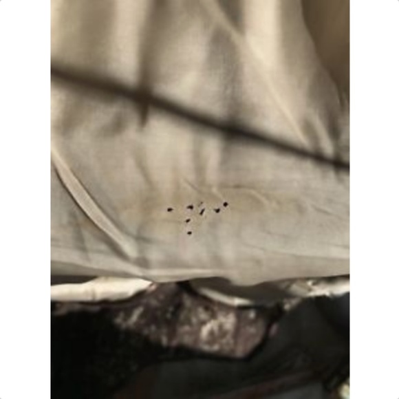 B Moss | Dresses | B Moss Dress Collection Sleeveless Lace Dress | Poshmark